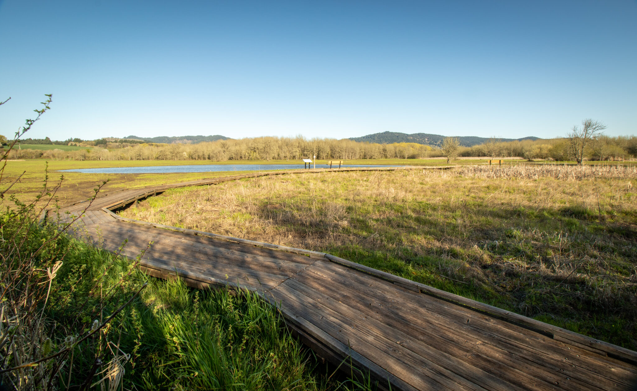 Jackson-Frazier Wetlands Boardwalk Reconstruction Project - Natural ...