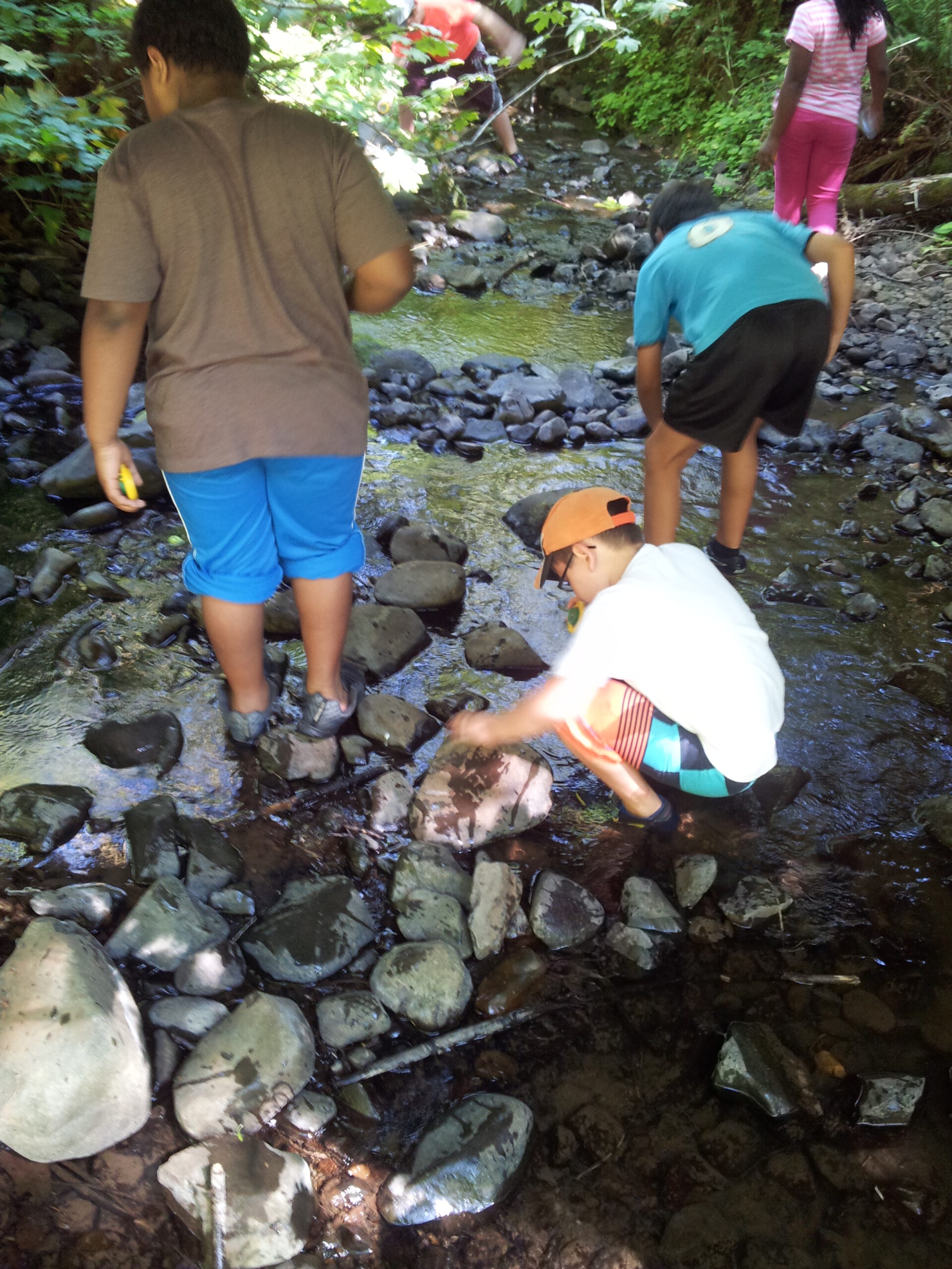 Outdoor Education & Recreation Program - Benton County, Oregon ...