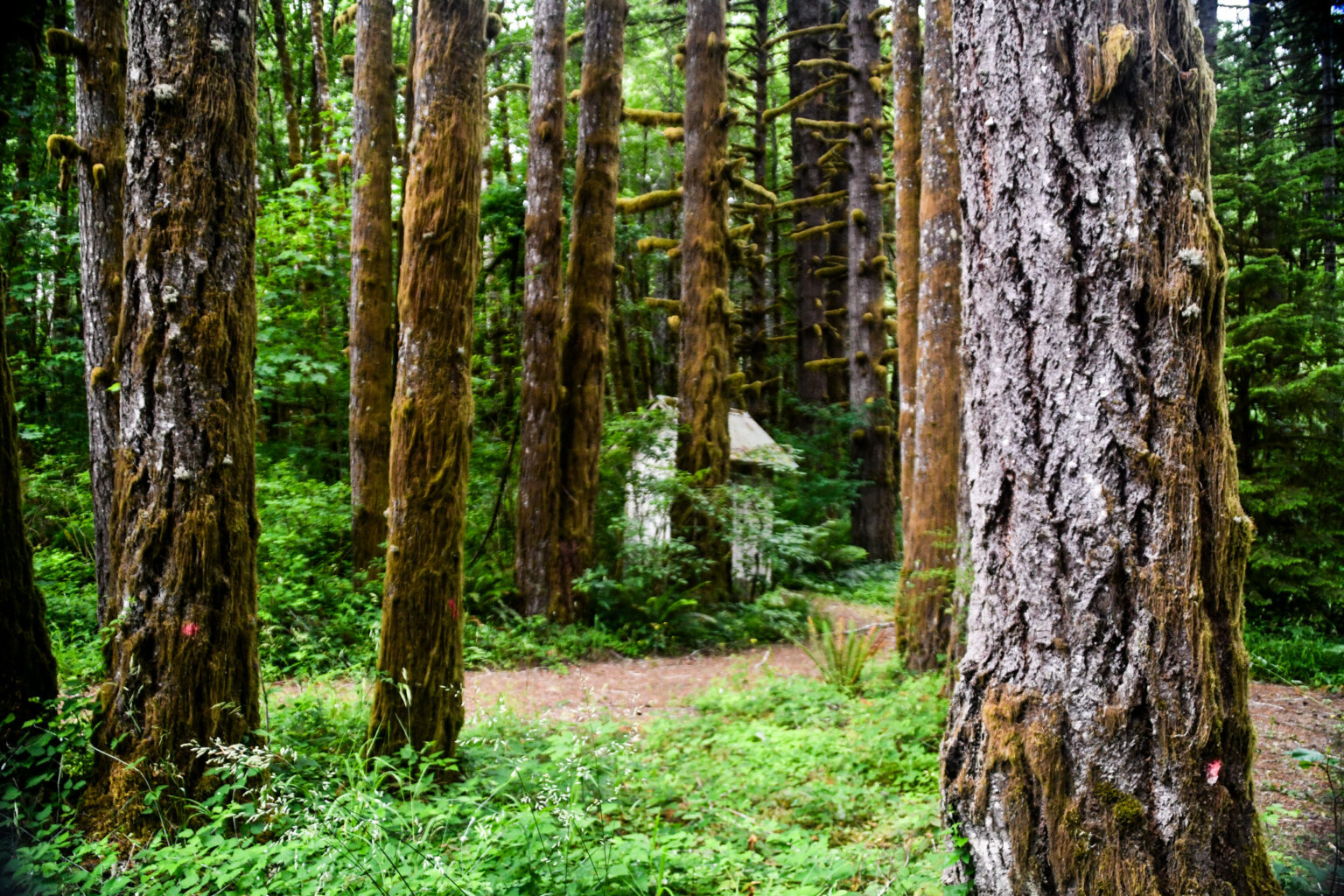 Hubert K. McBee Park and Campground - Benton County, Oregon - Natural ...