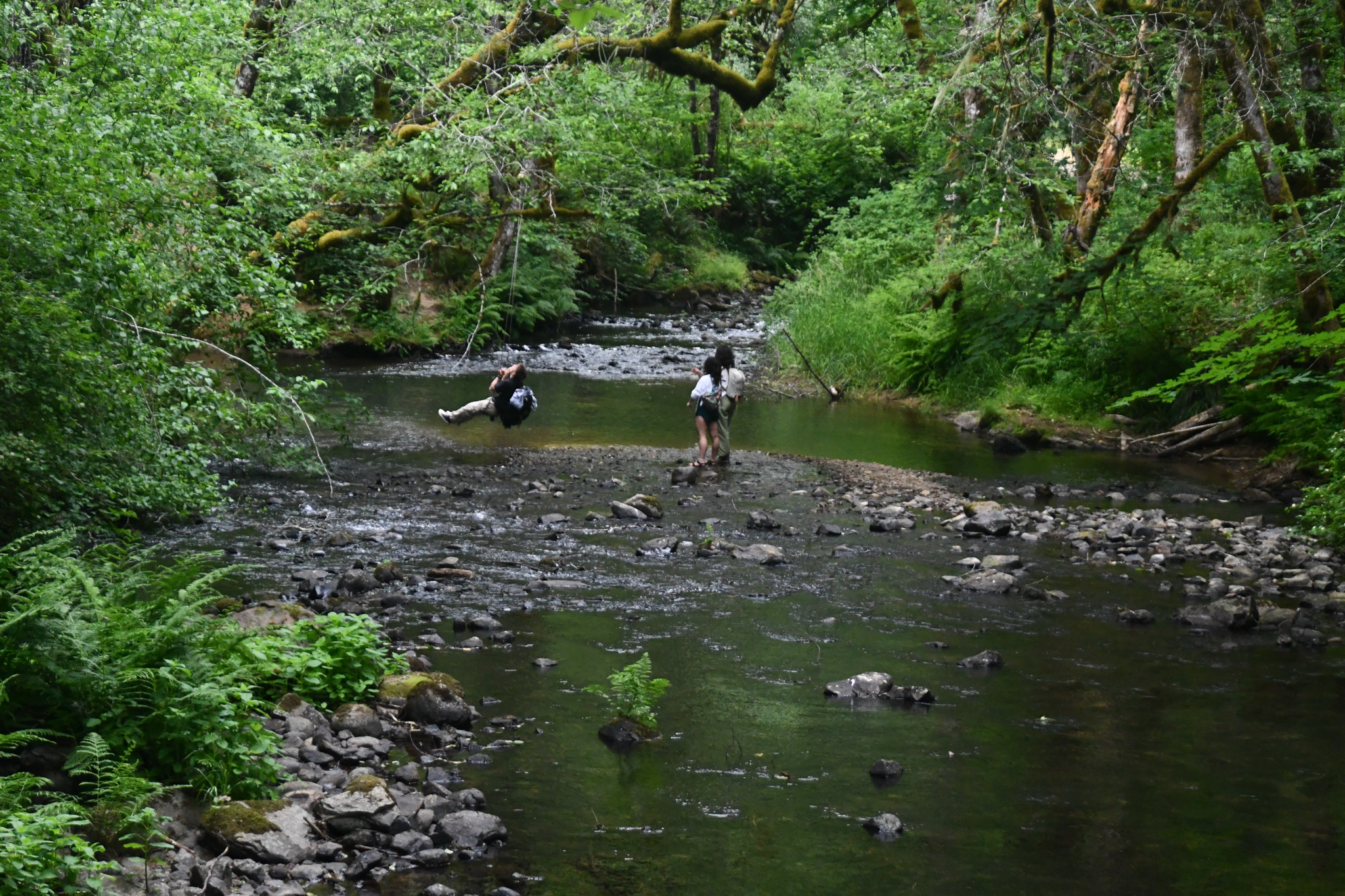 Hubert K. McBee Park and Campground - Benton County, Oregon - Natural ...