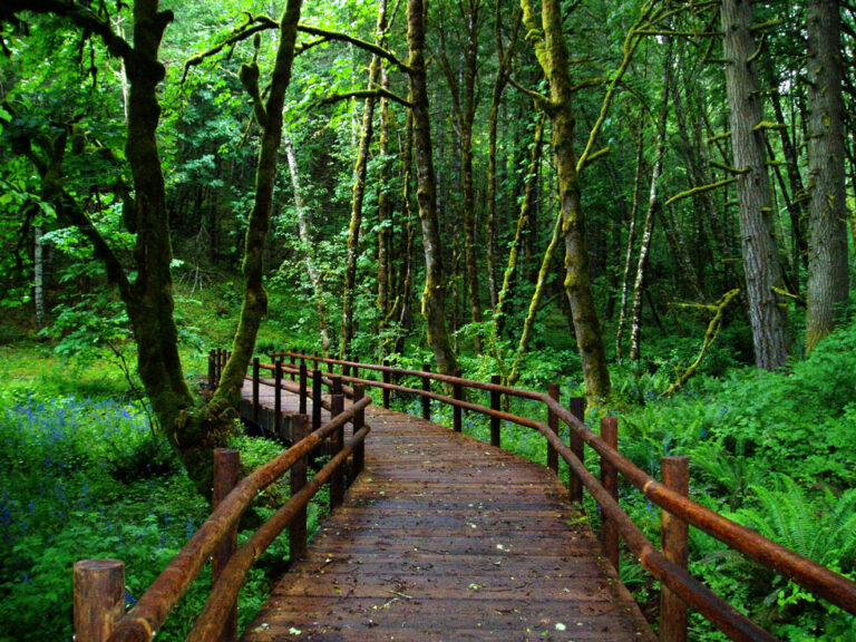 Parks & Trails - Benton County, Oregon - Natural Areas, Parks, and Events